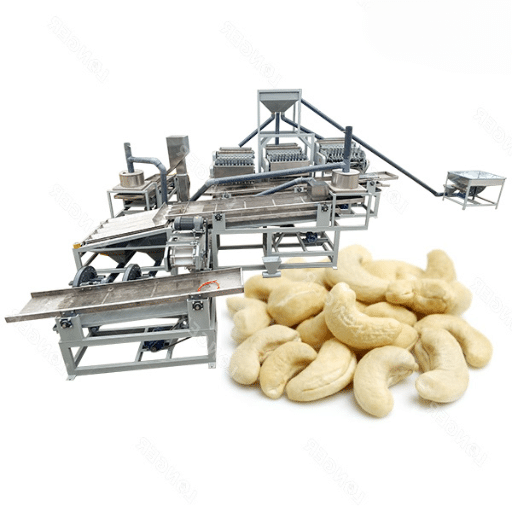 Unlocking the Potential of Modern Cashew Processing Machines - Machine ...